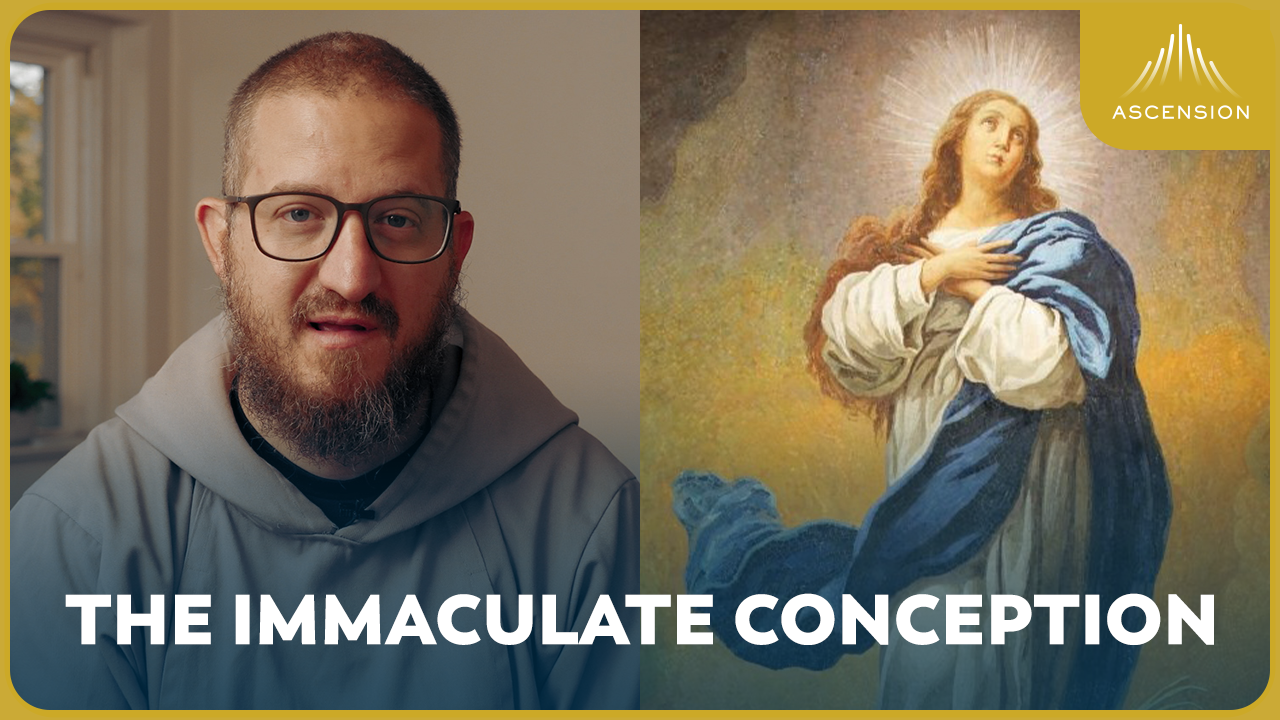 The Solemnity of the Immaculate Conception of the Blessed Virgin Mary ...