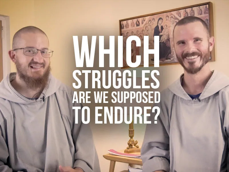 Which Struggles Are We Supposed to Endure? – Ascension