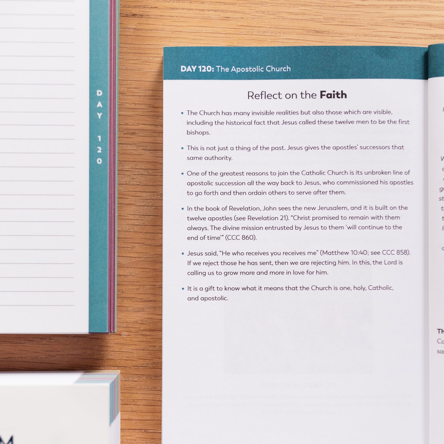 The Catechism in a Year Companion, Volume I – Ascension