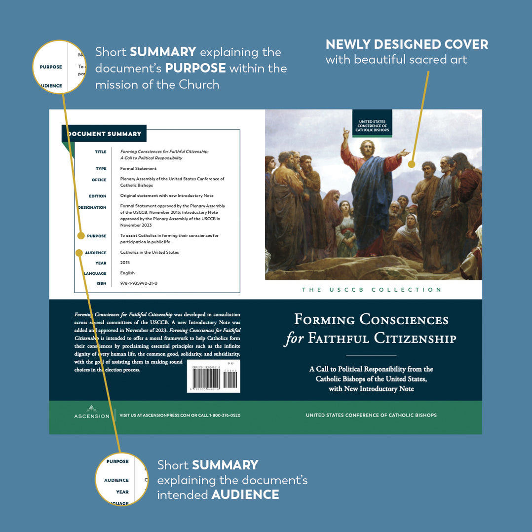 Forming Consciences for Faithful Citizenship: A Call to Political Resp ...