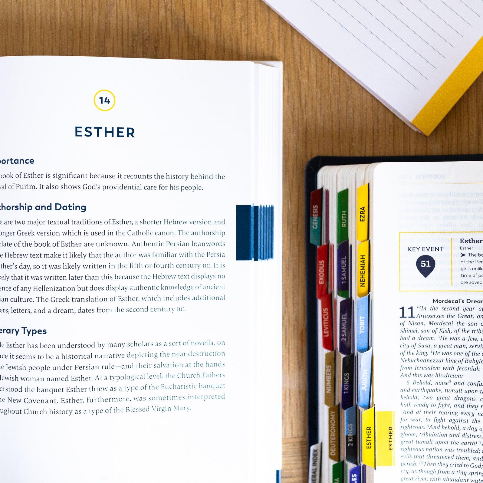 A Catholic Guide to the Old Testament – Ascension