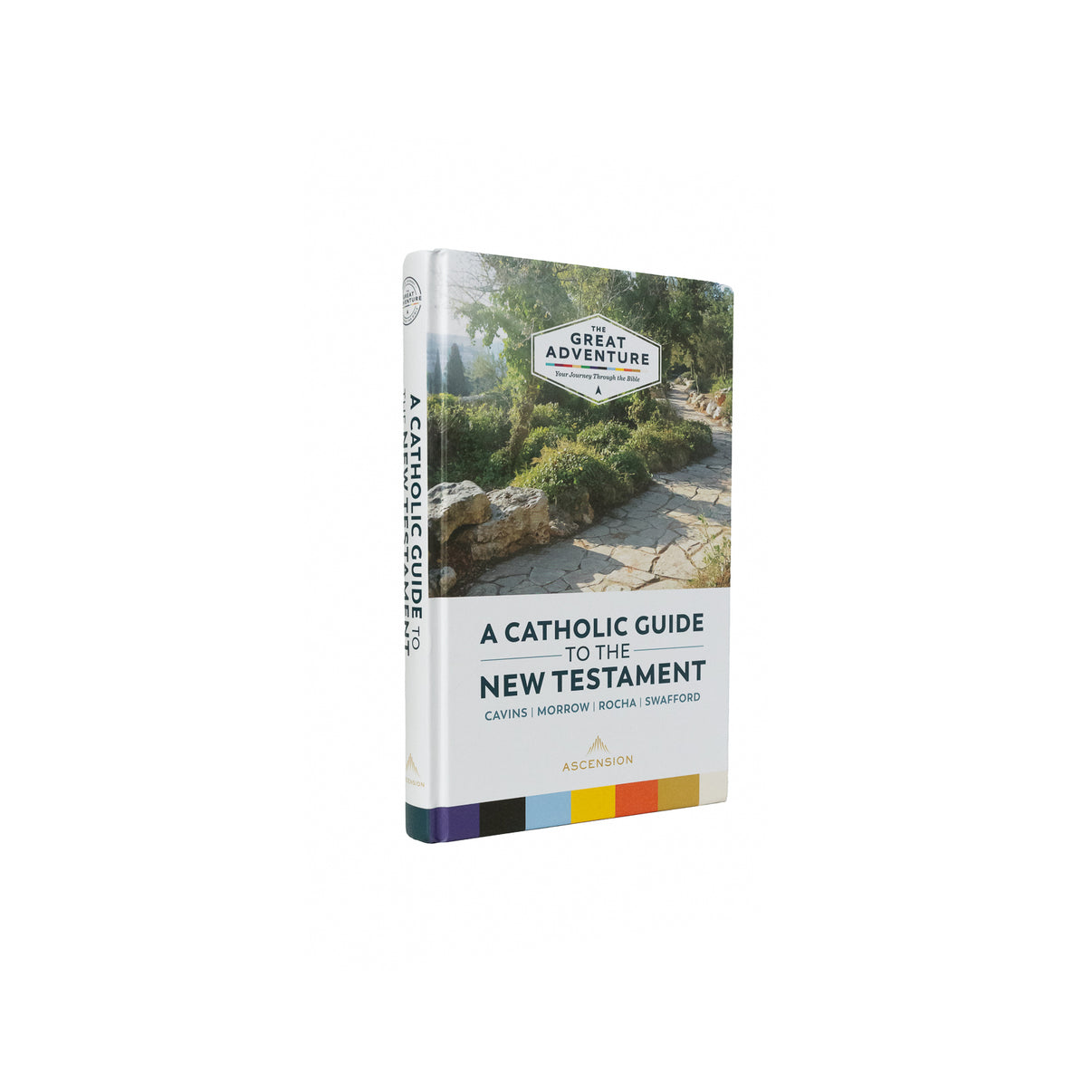 A Catholic Guide to the New Testament – Ascension