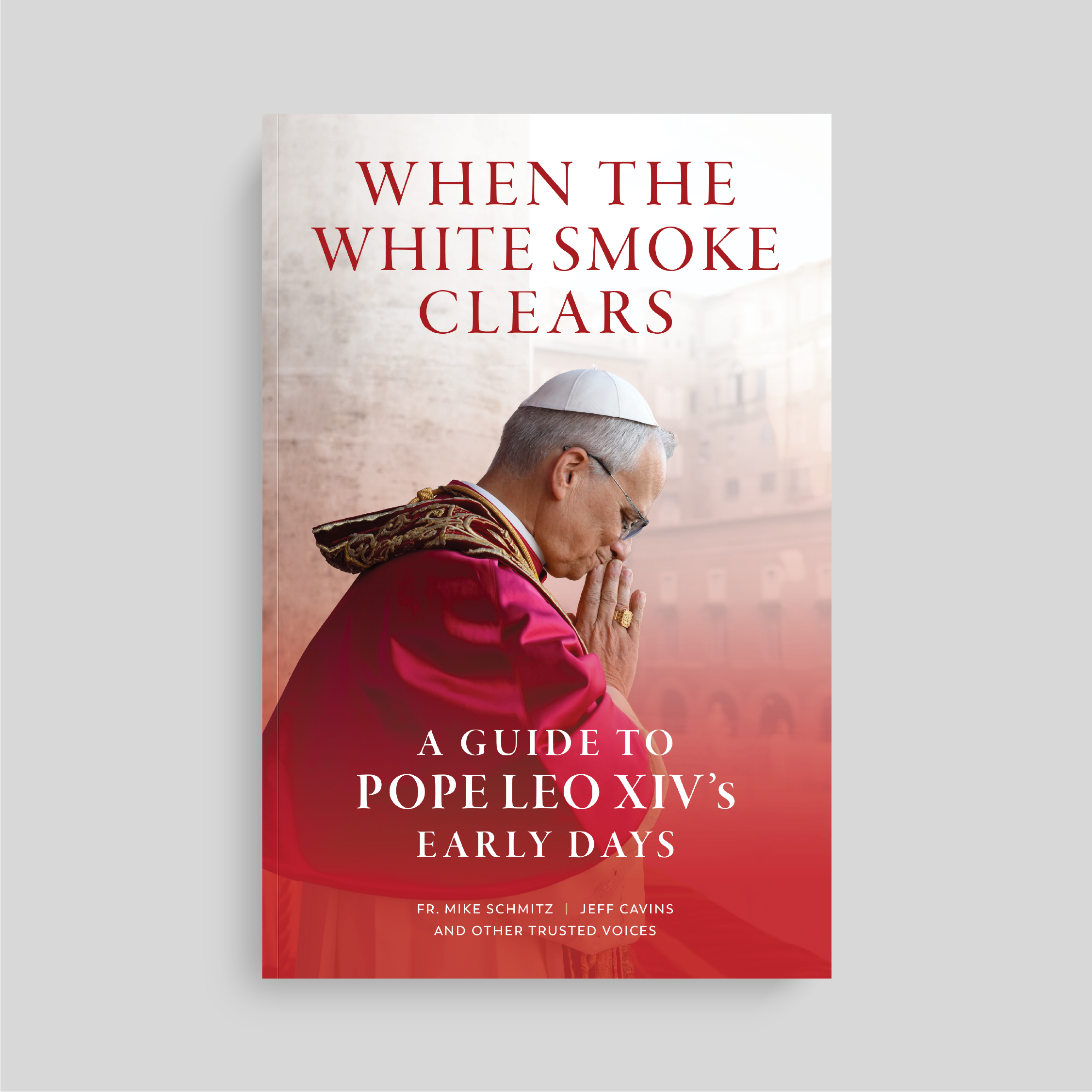 When the White Smoke Clears: A Guide to Pope Leo XIV's Early Days ...