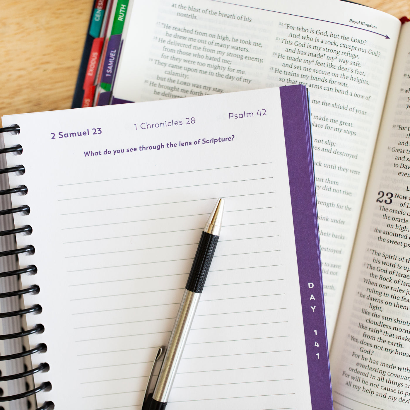 The Bible in a Year Notebook, 2nd Edition – Ascension