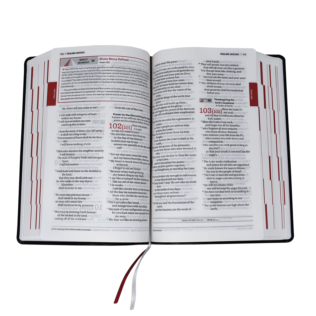 Divine Mercy Catholic Bible – Ascension