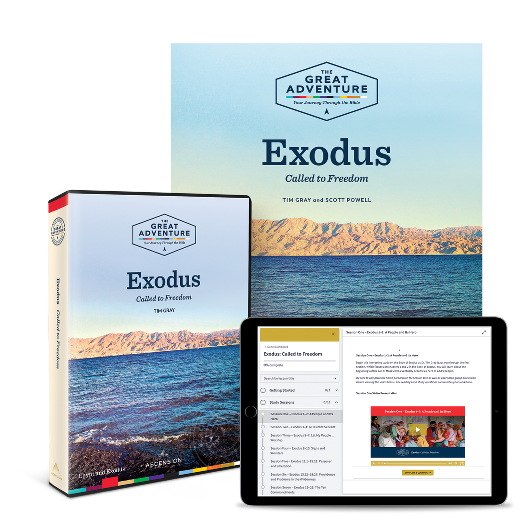 Exodus: Called to Freedom – Ascension