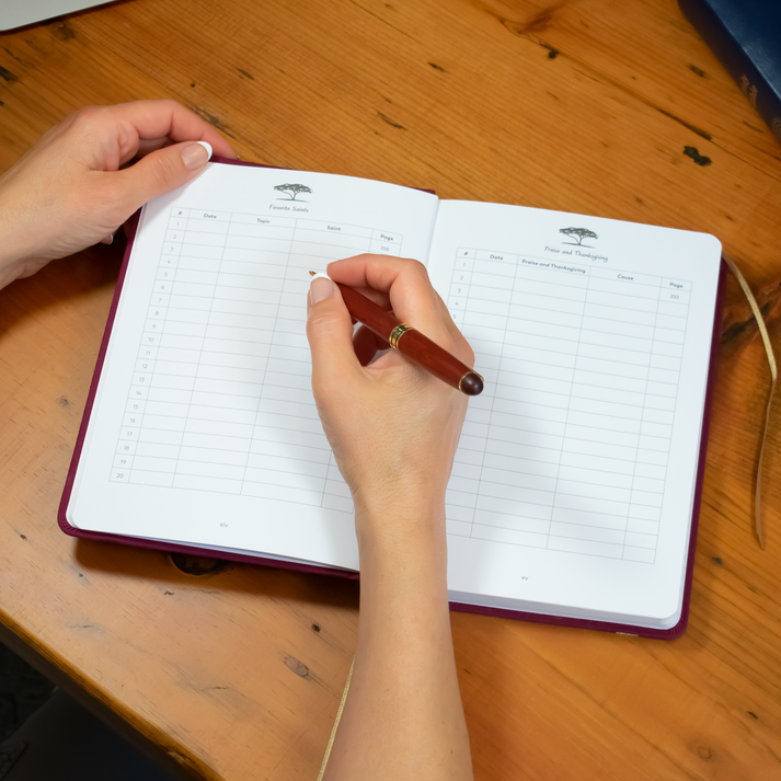 Insight Journal – Ascension