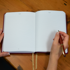 Insight Journal – Ascension