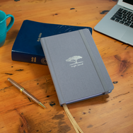 Insight Journal – Ascension